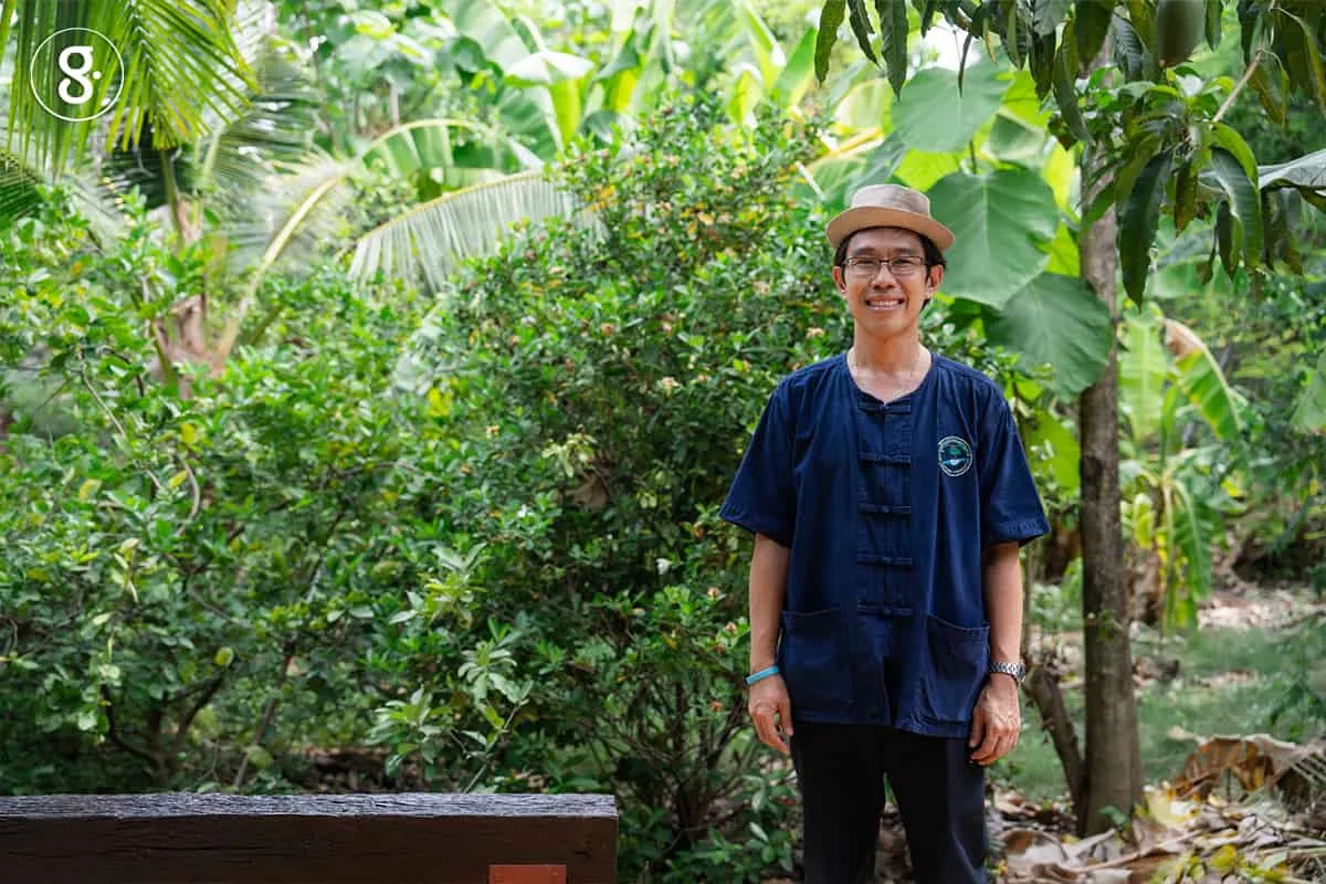 509968787-21 - greenery.