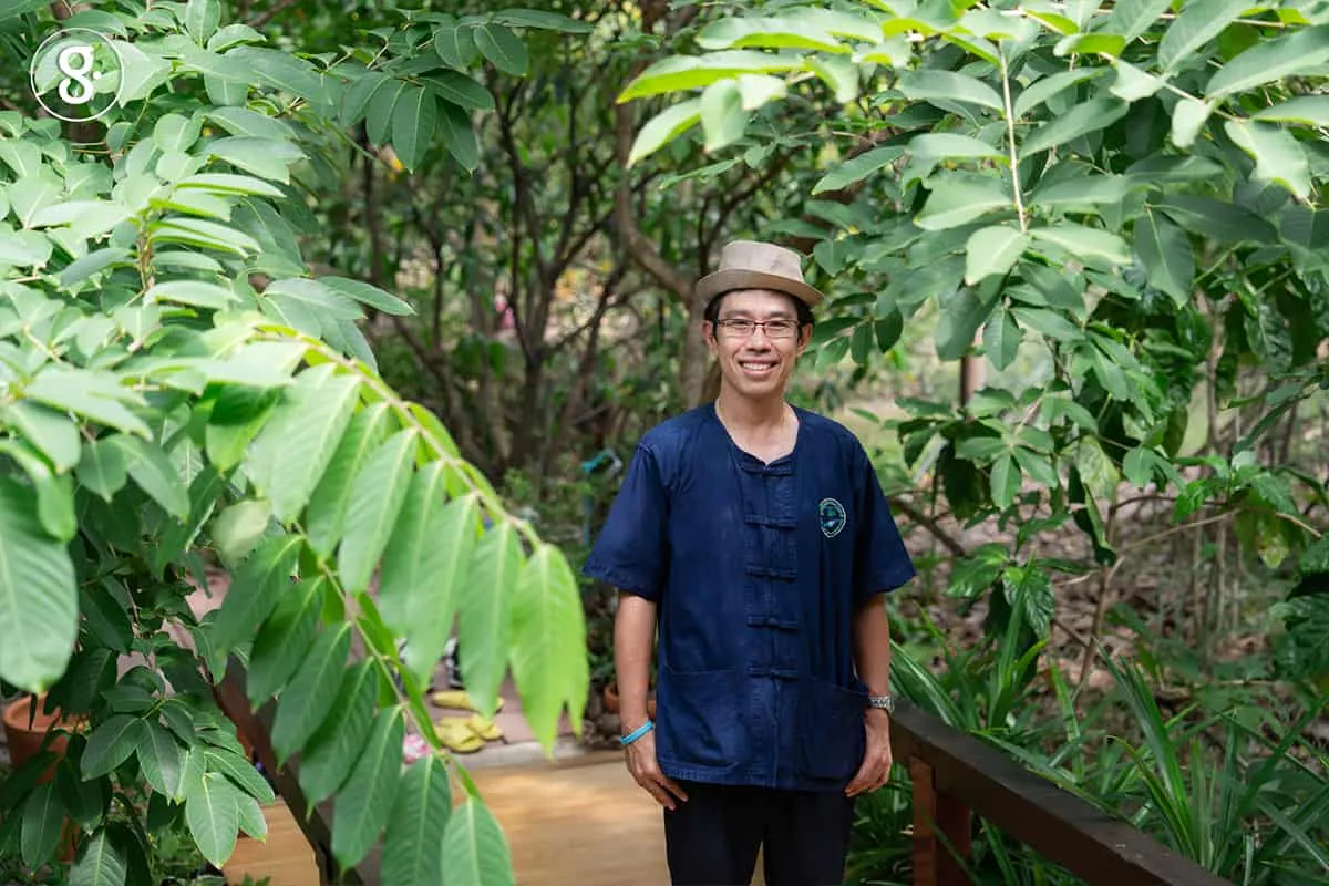 509968845-30 - greenery.