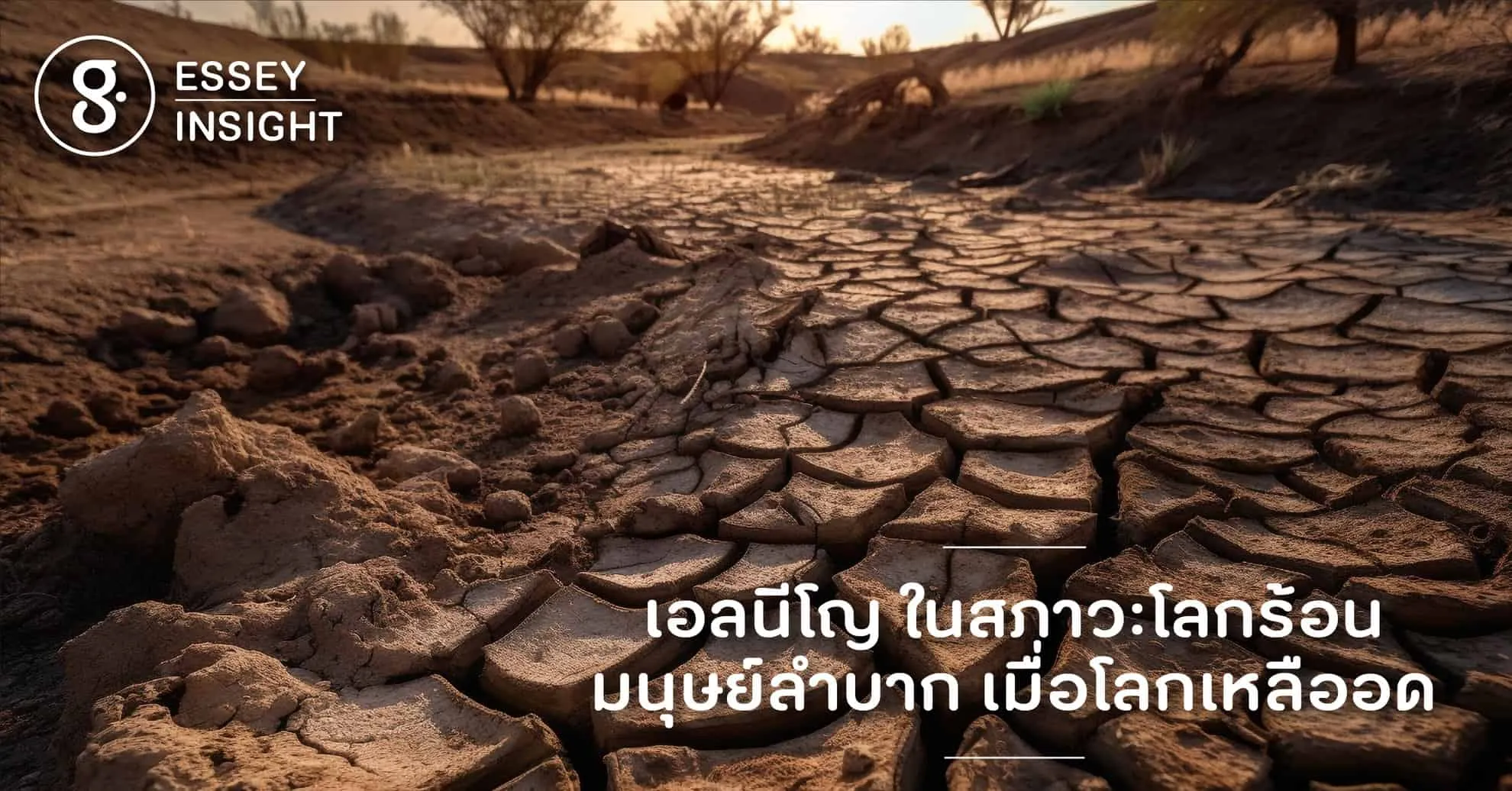 522537647-insight-01 - greenery.