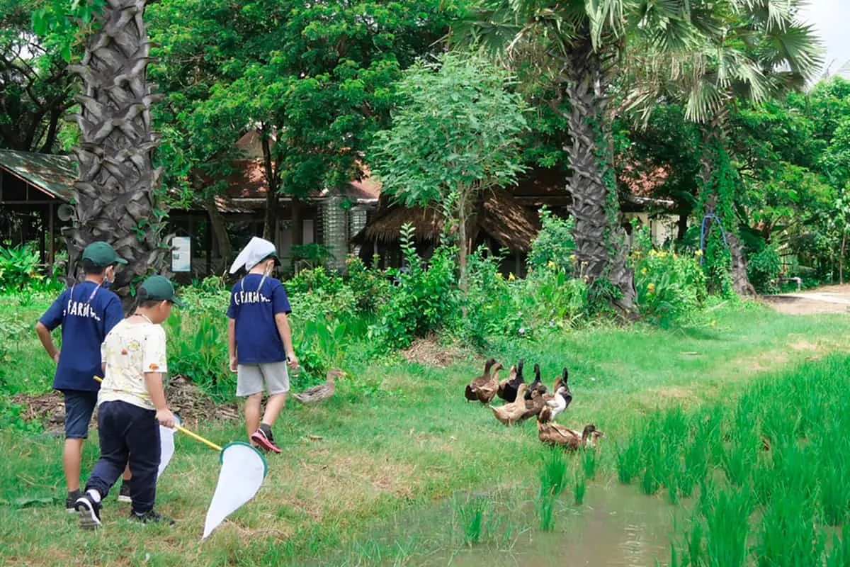 532962025-12 - greenery.