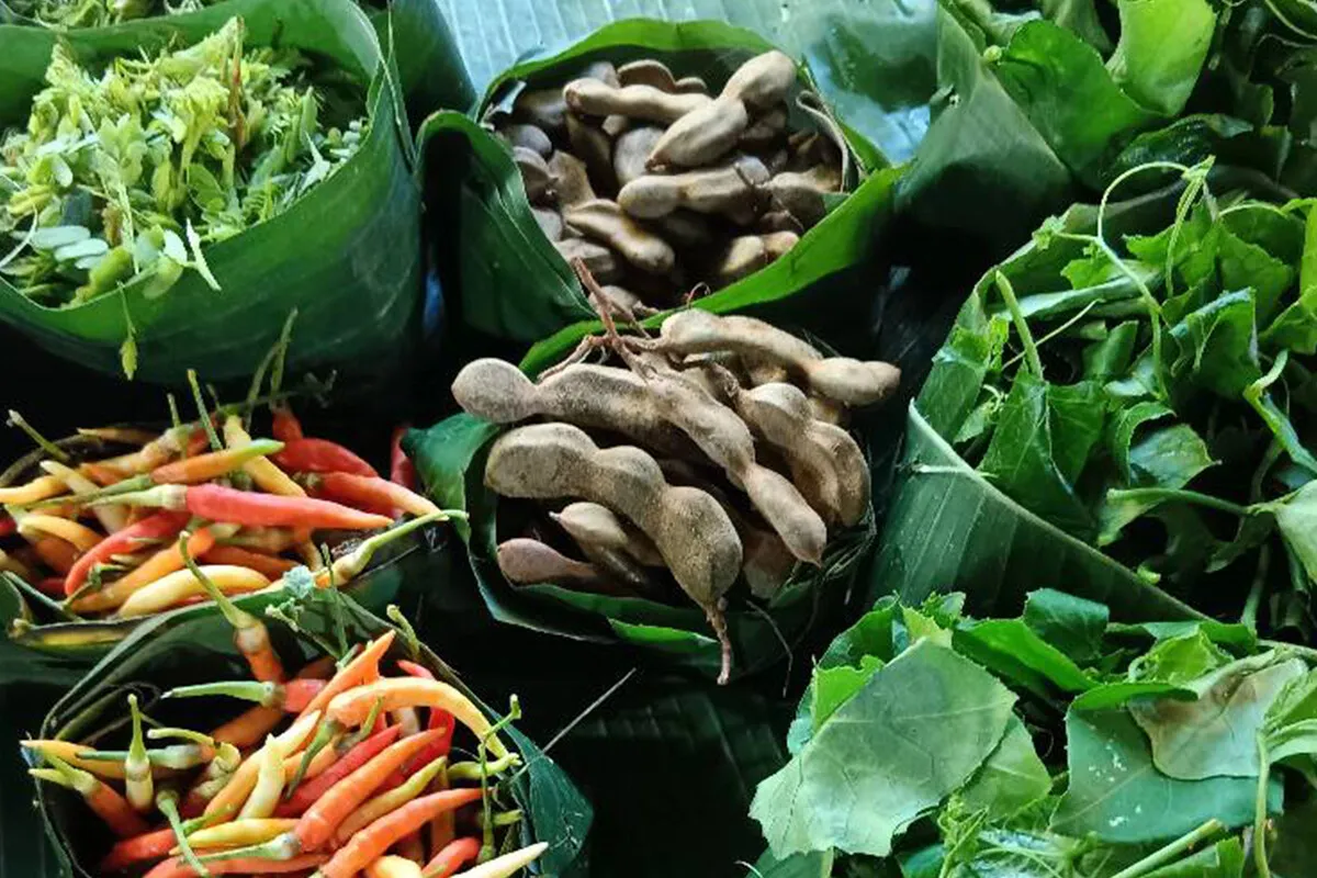 548904253-12 - greenery.