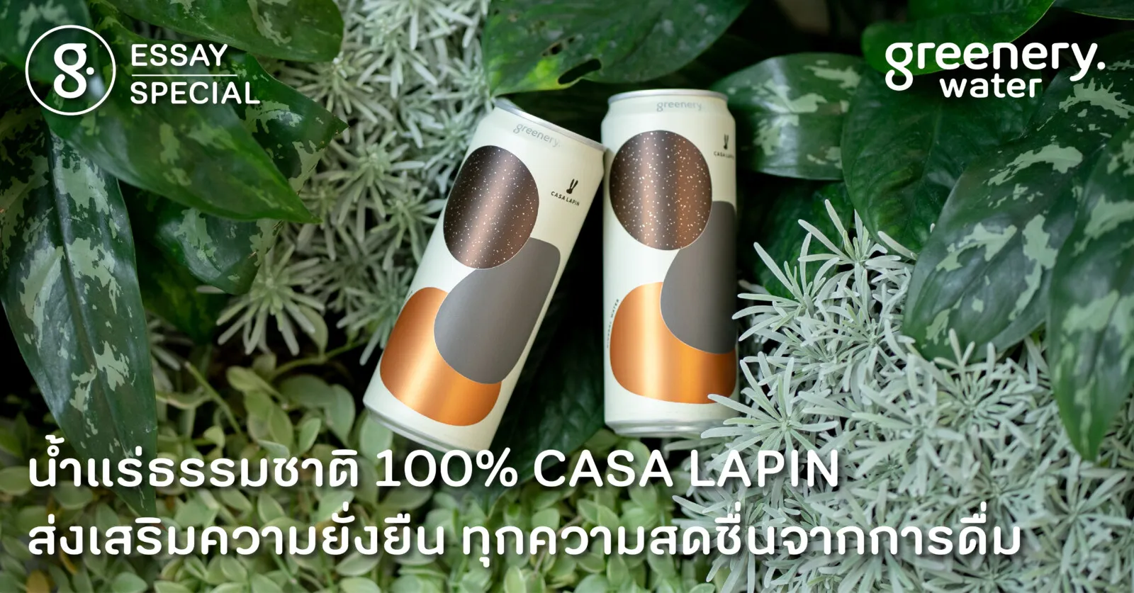 น้ำแร่ธรรมชาติ 100% CASA LAPIN ส่งเสริมความยั่งยืนทุกความสดชื่นจากการดื่ม | Greenery Water ...