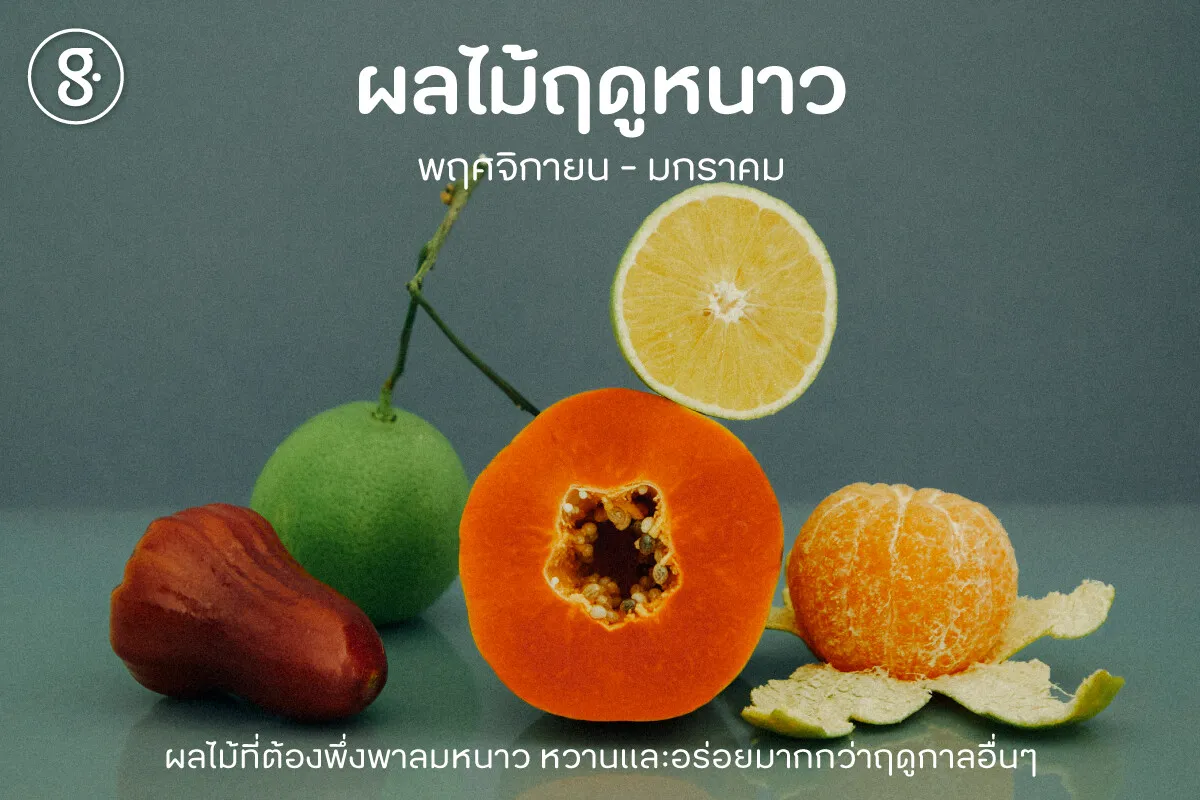 GR-ALBUM-NOV-SEASON-W-03 - greenery.