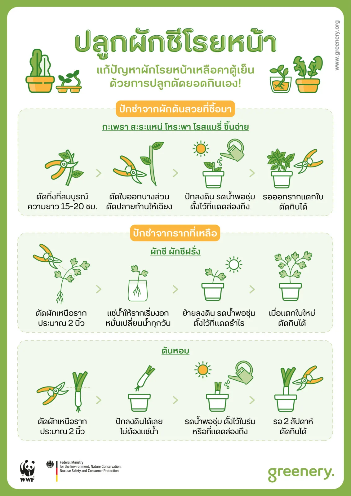INFOGRAPHIC NOV - greenery.