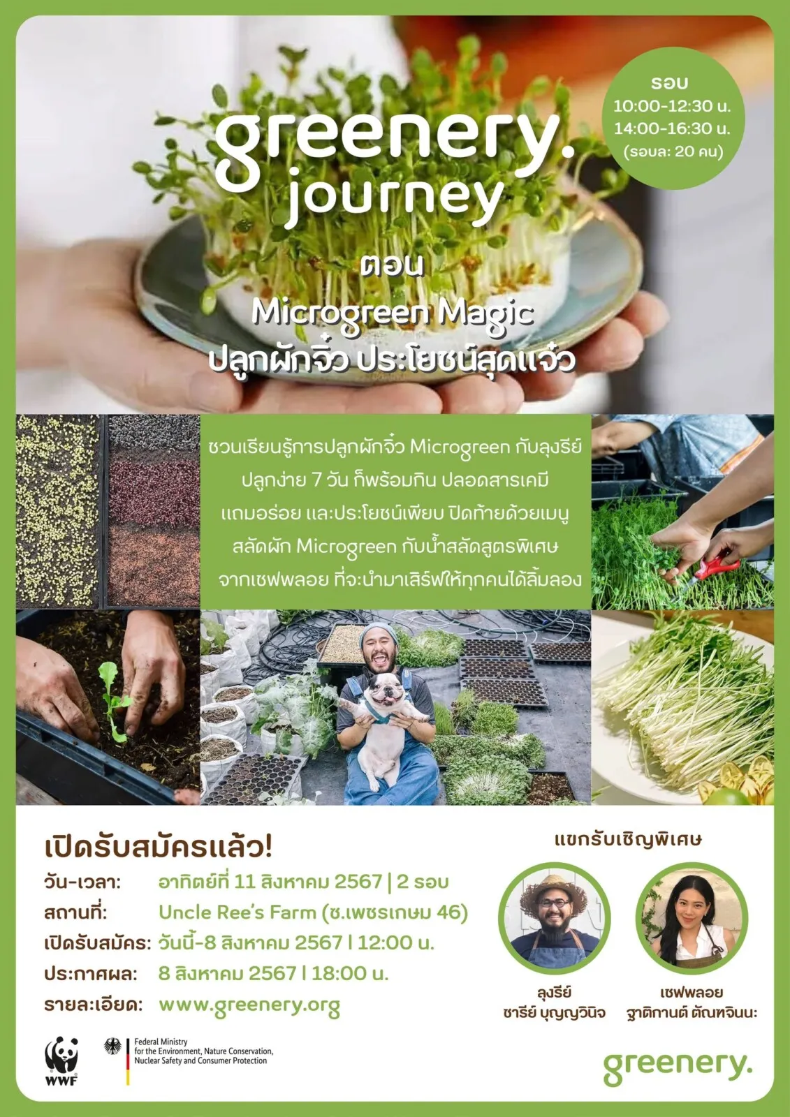 Greenery Journey ตอน…Microgreen Magic: ปลูกผักจิ๋ว ประโยชน์สุดแจ๋ว ...