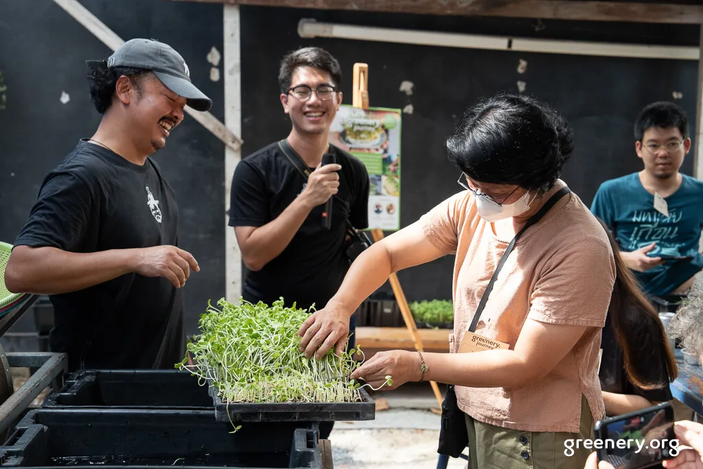 Greenery Journey-147 - greenery.