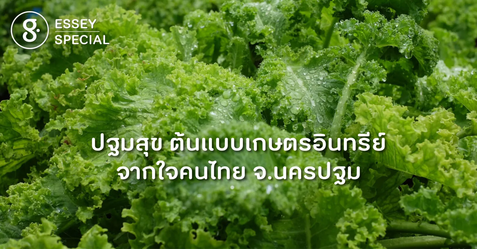 Cover-07 - greenery.