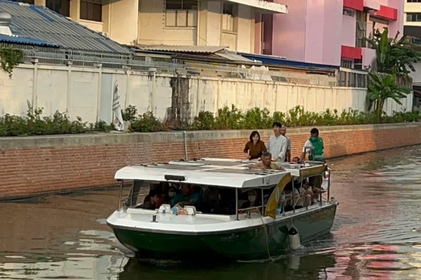 Greenery Weekend 2025-02 - greenery.