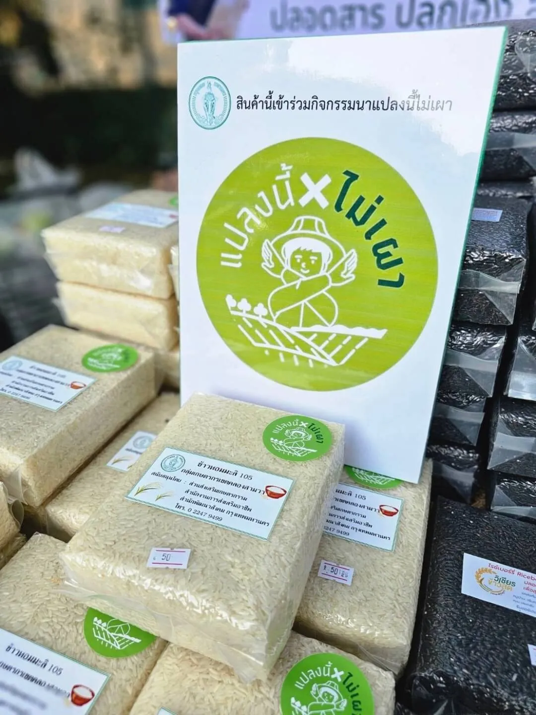 ตลาดเกษตรกรในสวน01 - greenery.