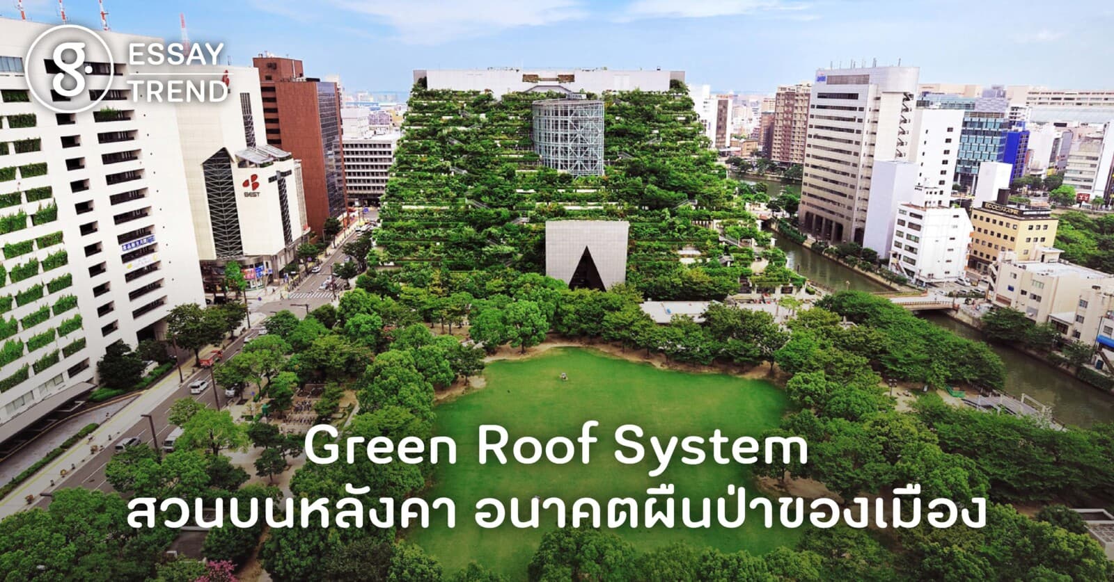 Green Roof System สวนบนหลังคา อนาคตผืนป่าของเมือง - greenery.